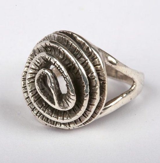 FT 053557 Ring Zilver Anjer-19 | bol