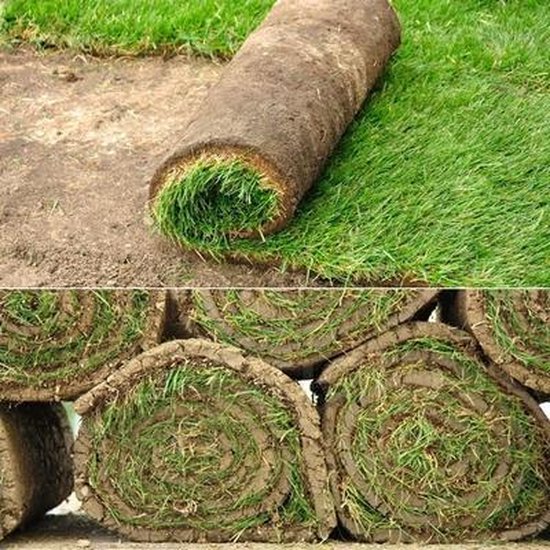 Graszoden - rolgazon | bol