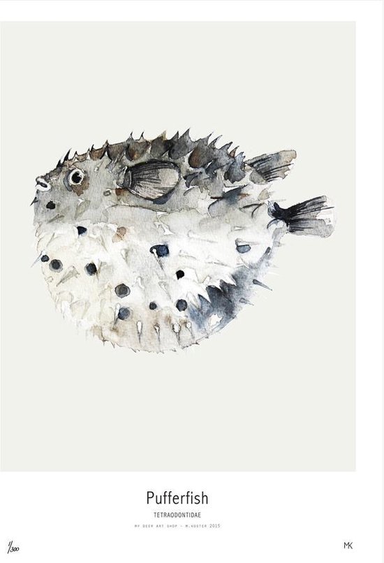 My Deer Art Shop Poster - Pufferfish - 40 X 30 Cm - Multicolor | bol.com