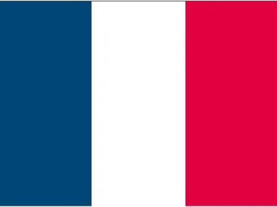 Vlag Frankrijk stickers | bol.com