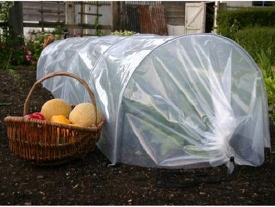 Kweektunnel 65cm hoog | bol