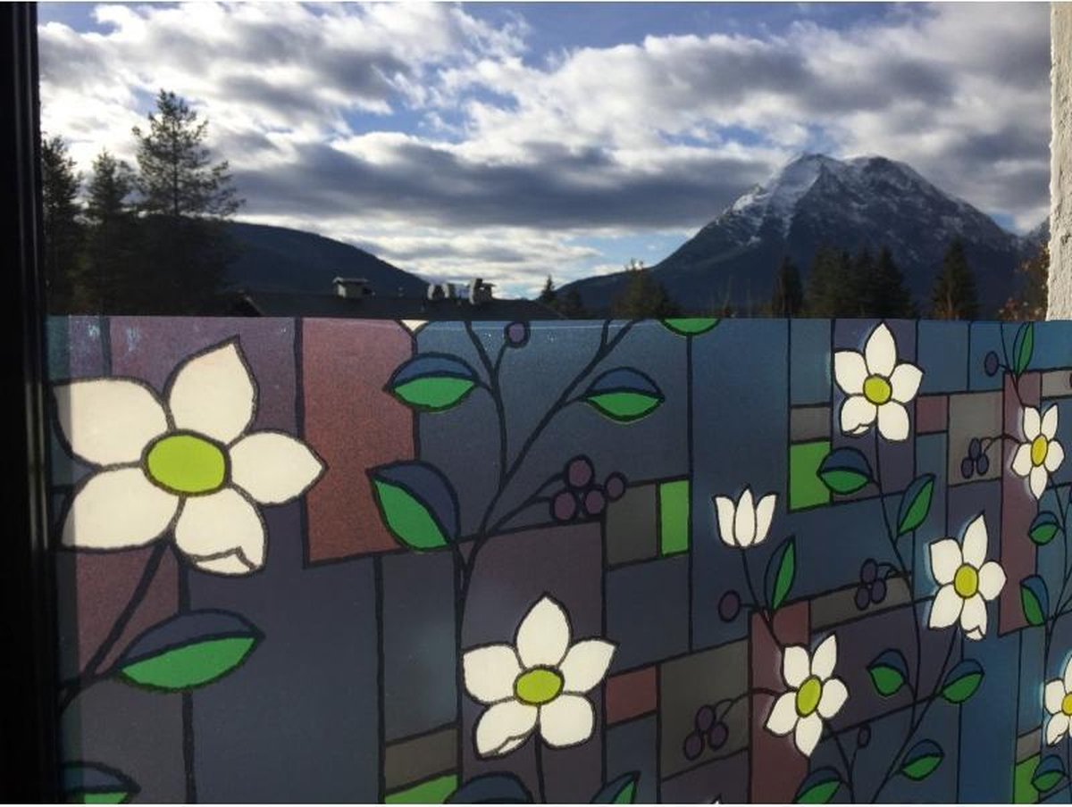 raamfolie met bloemen print - Anti inkijk raamfolie met bloem effect ...