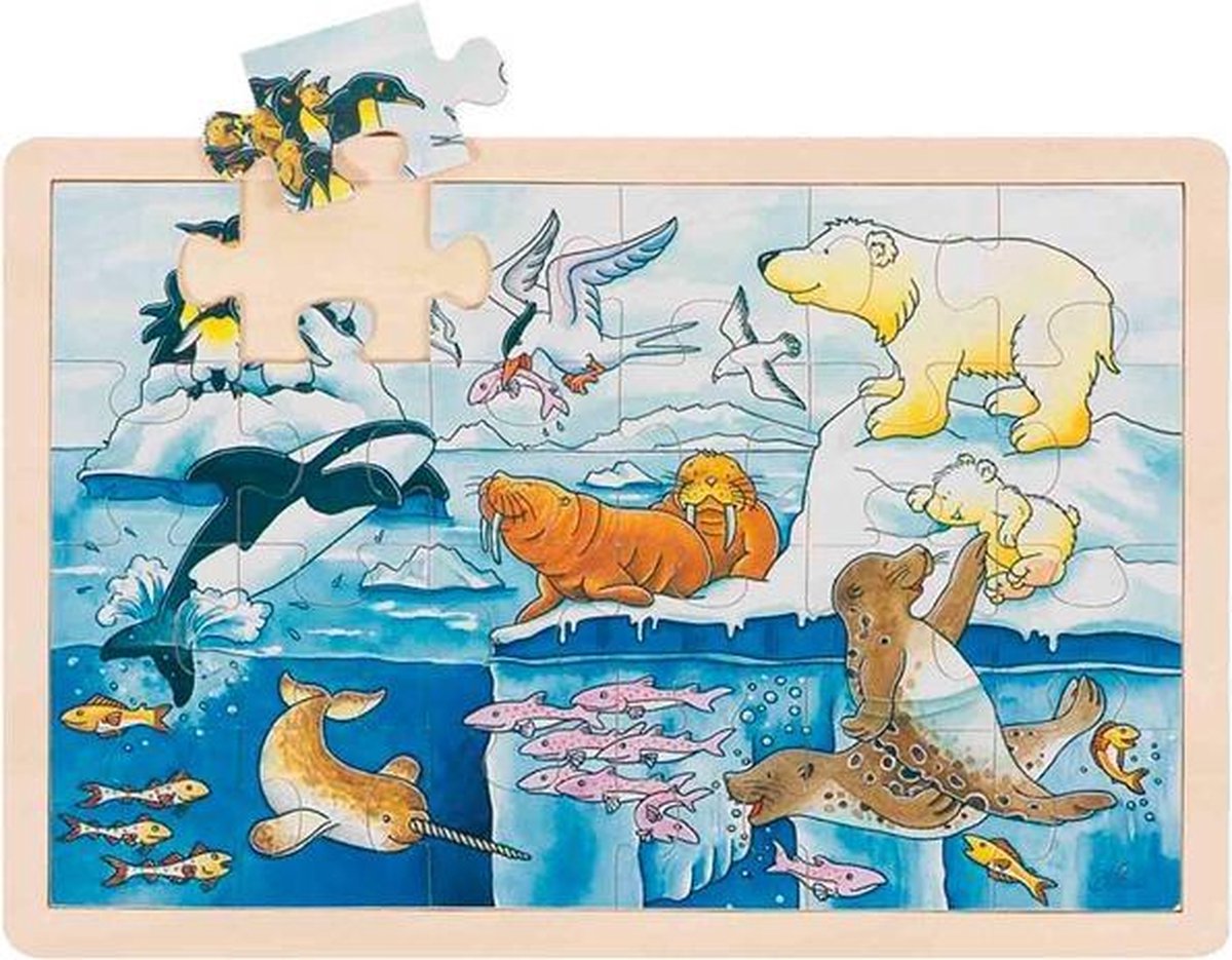 Arctic animals - Puzzle 1000 pieces