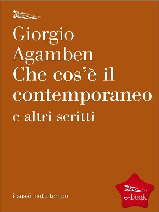 I sassi - Che cos'è il contemporaneo e altri scritti (ebook), Giorgio ...