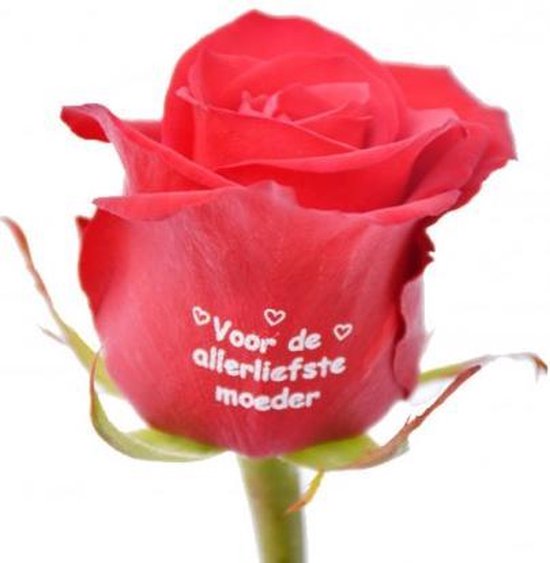 Moederdag rode roos voor de allerliefste mama | bol
