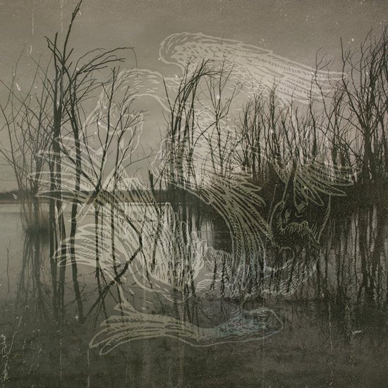 Valley, Myra | CD (album) | Muziek | bol.com