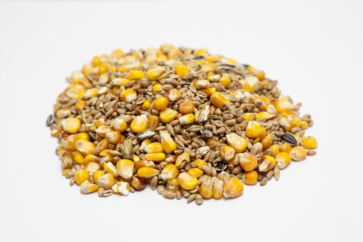 Gemengd graan (met hele mais) 20kg | bol