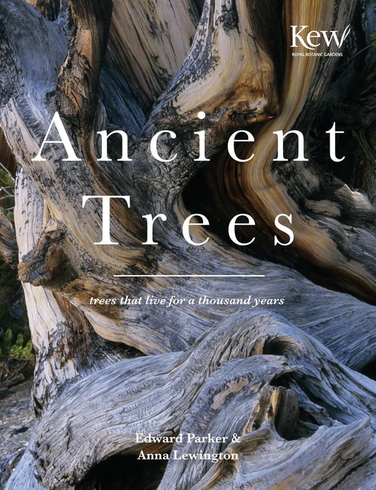 Ancient Trees (ebook), Anna Lewington | 9781849940801 | Boeken | bol.com
