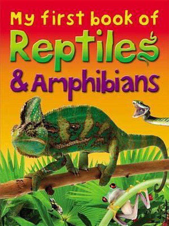 My First Book of Reptiles and Amphibians, Dee Phillips | 9781846968150 ...