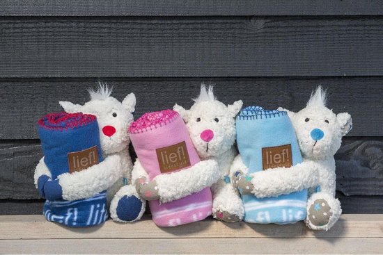 Lief! Beer Met Plaid Puppy/Kitten Unisex - 20x18x22 cm | bol