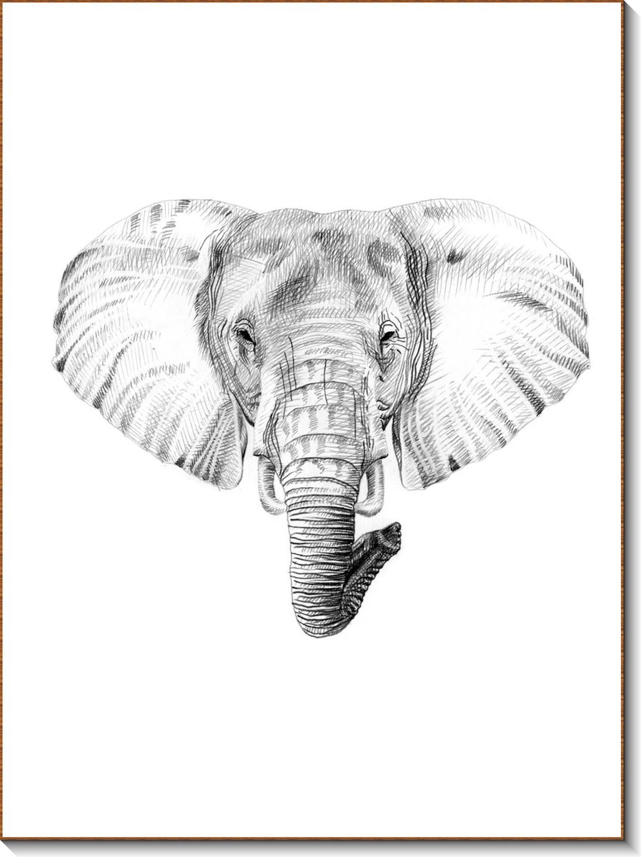 MODERS Canvas Posters Zwart Wit Dieren 30x40 | Olifant | Poster In De ...