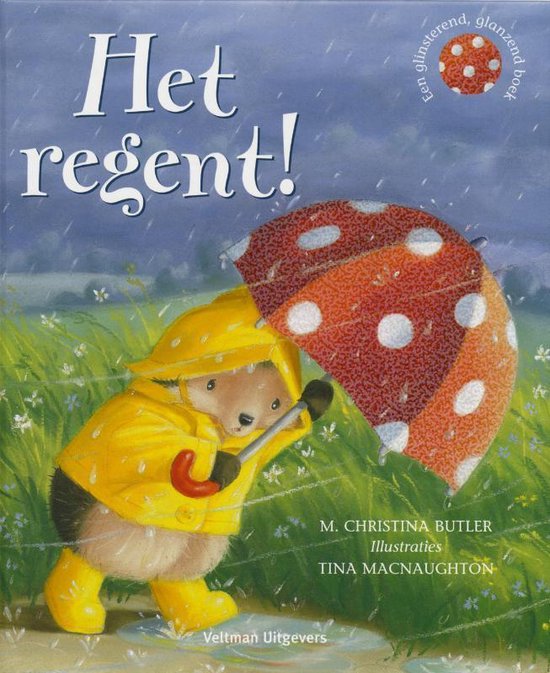 bol.com | Het Regent!, M. Christina Butler | 9789048300471 | Boeken