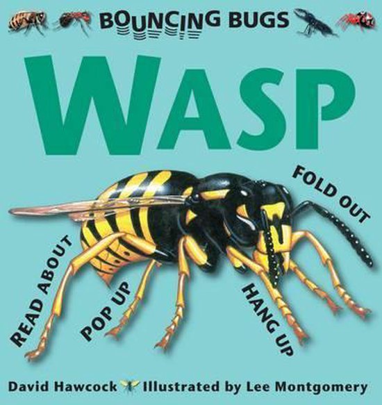 Bouncing Bugs - Wasp, David Hawcock | 9781857078770 | Boeken | bol.com