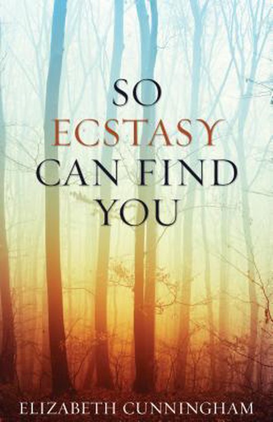 So Ecstasy Can Find You, Elizabeth Cunningham | 9780988943056 | Boeken ...