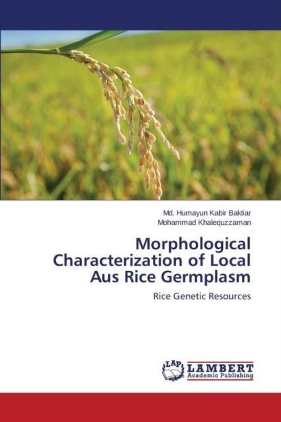 Morphological Characterization of Local Aus Rice Germplasm ...