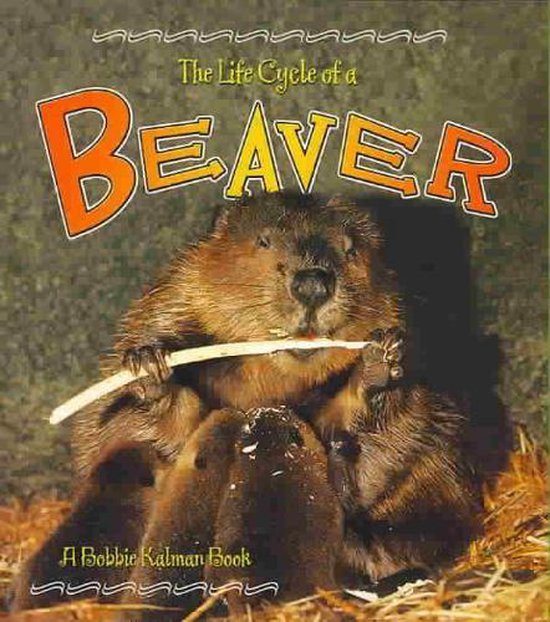 The Life Cycle of the Beaver, Bobbie Kalman | 9780778707028 | Boeken ...