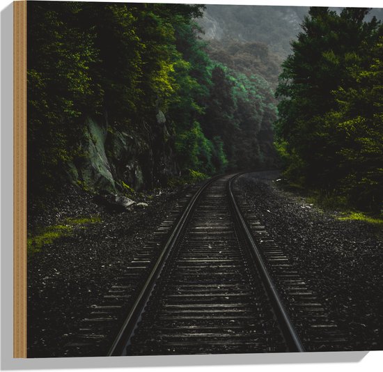 WallClassics - Hout - Treinspoor tussen Groene Bossen - 50x50 cm - 12 ...