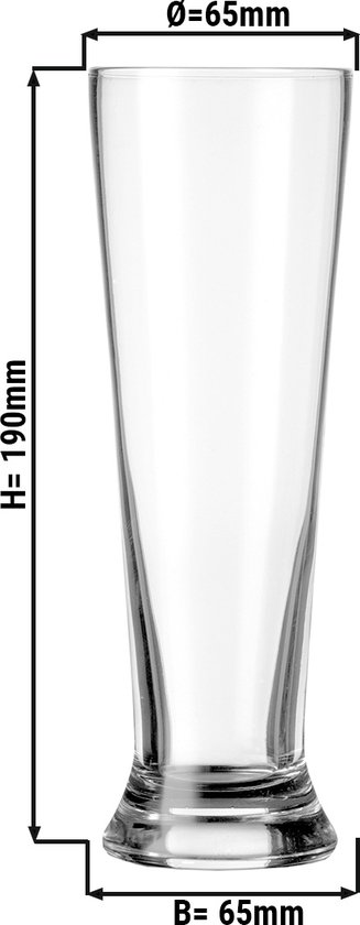 (12 Stuks) BEER SPECIALS - Bierglas - 30 cl | GGM Gastro | bol.com