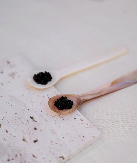 Kaviaar lepels roze (6 stuks) | Amuse lepel | Dessertlepel | Schelp ...