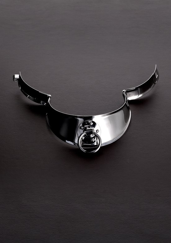 Locking Men's Collar with Ring (15) | bol