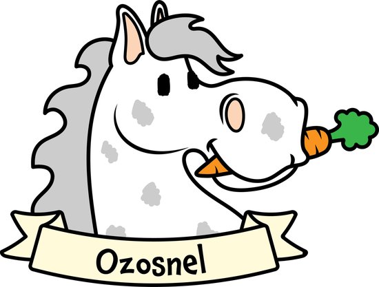 Herbruikbare raamsticker Ozosnel - Makkelijk op te plakken en te ...