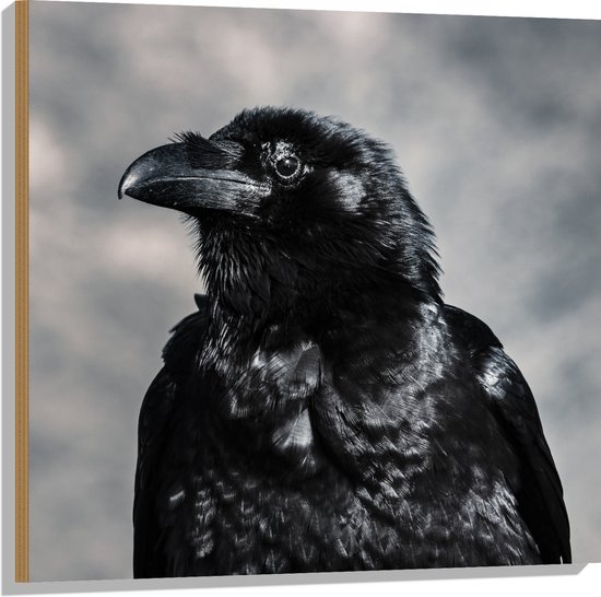 WallClassics - Hout - Zwarte Raaf van Dichtbij - 80x80 cm - 12 mm dik ...