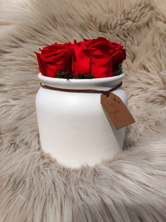 For you/Voor jou - gevriesdroogde rozen rood - geschenk - geschenk voor ...