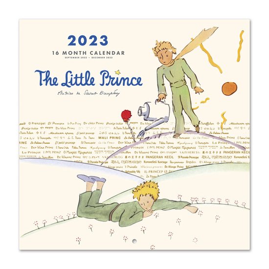 Le Petit Prince Kalender 2023 | bol.com