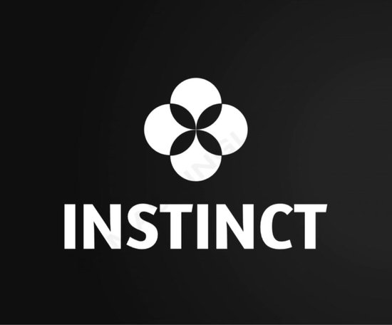 Instinct® Beveiligingscamera - set met 8 Cameras Outdoor Buiten - Home ...