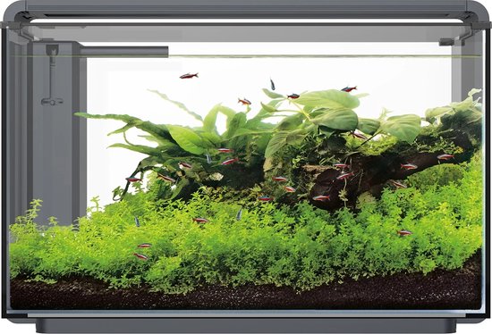 Superfish SF HOME PROLED 85 AQUARIUM ZWART | bol