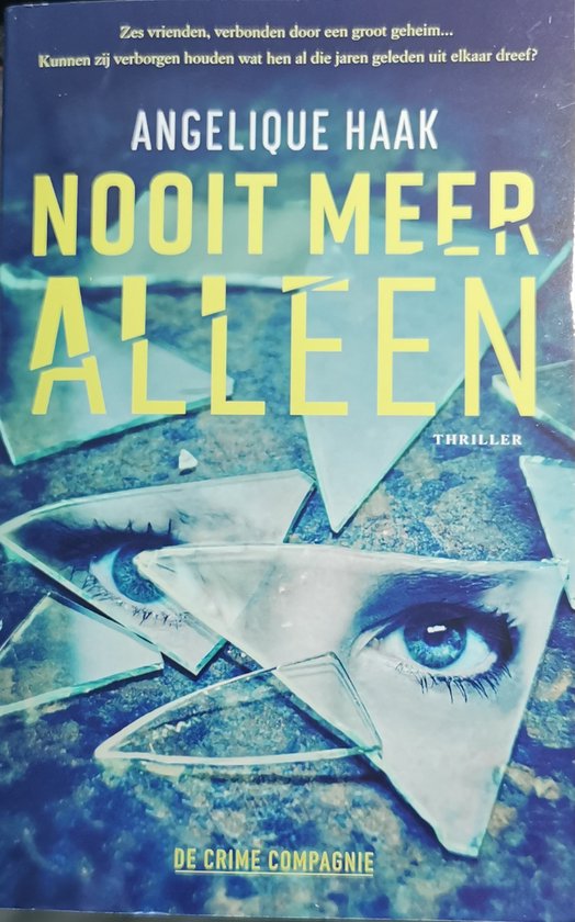 Nooit meer alleen, Angelique Haak | 9789461096951 | Boeken | bol