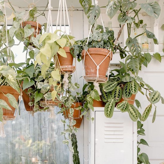 Bloempot mini-terracotta potten 10x10 cm met onderzetter en afvoergat ...