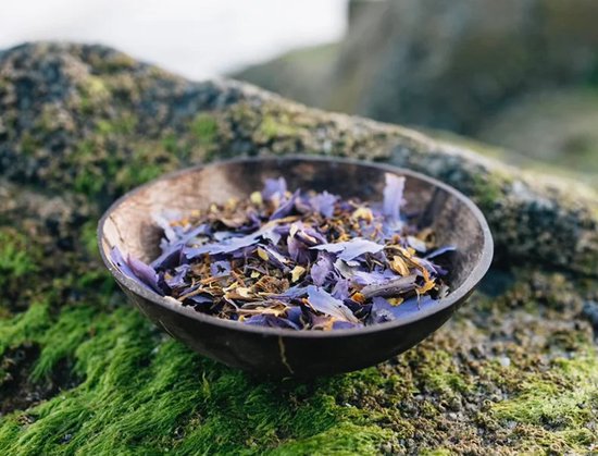 Blauwe Lotus thee - Blue Lotus tea - Nymphaea caerulea - Hoogste ...