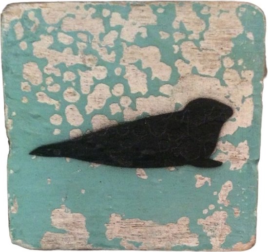 Symbool Zeehond 6x6 cm | bol