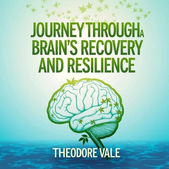 Journey Through a Brain's Recovery and Resilience, Theodore Vale | 9798882343285 | Boeken | bol