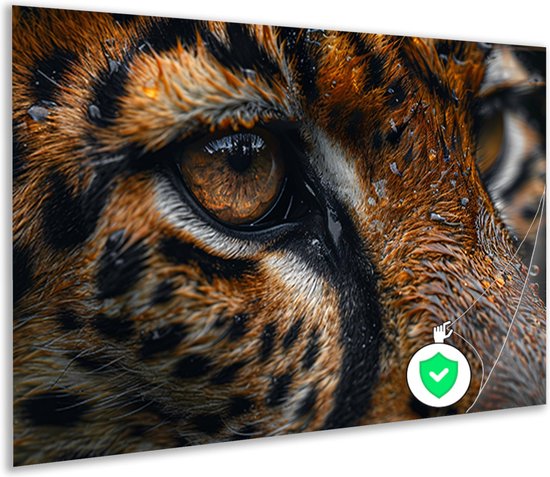 tijger poster - dier poster - Muurdecoratie vacht - Wanddecoratie ...