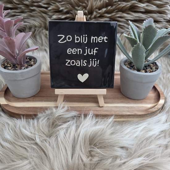 Tegeltje Juf Cadeau – Zo Blij met een Juf Zoals Jij – Robuust Zwart met ...