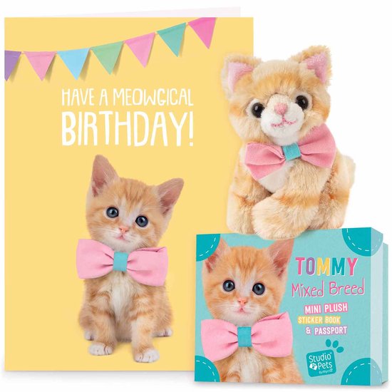 Studio Pets Set van Mini Knuffel Rode Kat Tommy (8cm) en ...