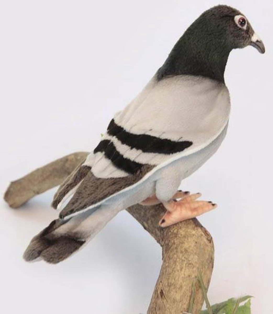 bol.com | Pluche knuffel duif 29 cm