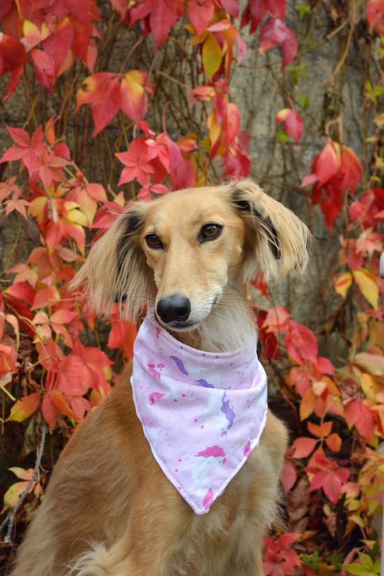 Unicorn Fantasy Dog Bandana - DIMPLES hondensjaal hondenbandana met ...