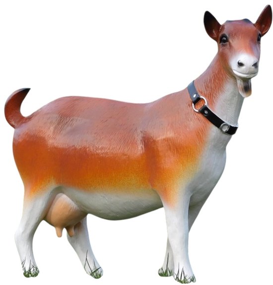 Geit - polystone beeld - 55 cm - in kleur en detail - tuinbeeld | bol