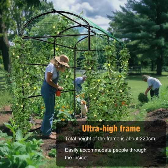 unho Grote tuinboog trellis voor klimplanten - Outdoor metalen plant ...