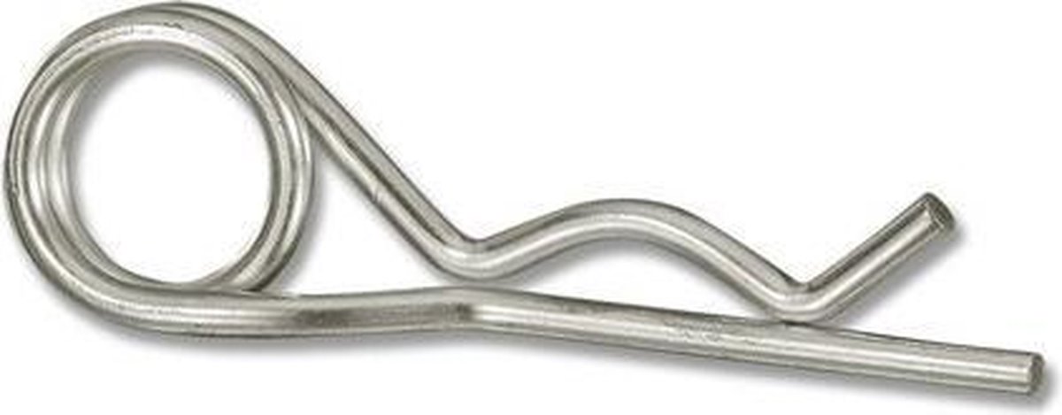 Borgclip / Veerpen dubbel - 2.5x53mm (10stks) | bol.com