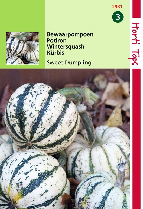 2 stuks - Hortitops - HT Bewaar pompoen Sweet Dumpling (wintersquash) | bol