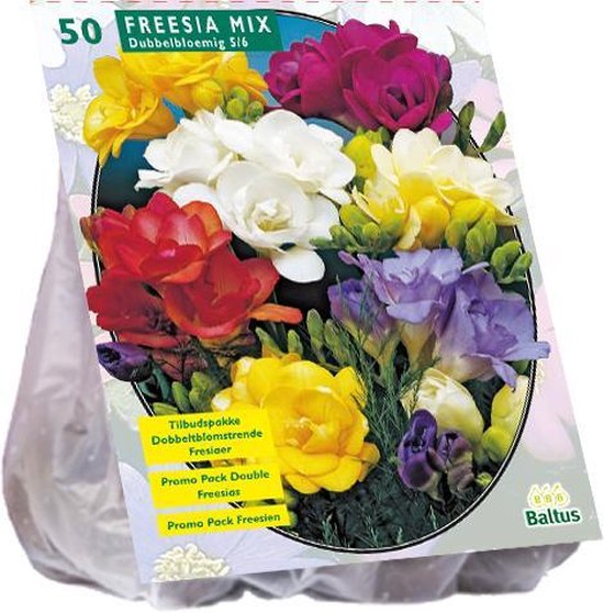 Freesia Double Mix - 2x50 stuks | bol.com