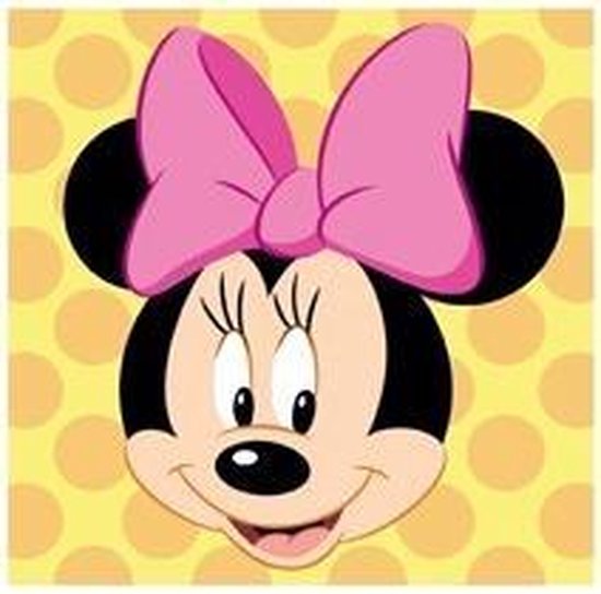 Borduurpakket voorgedrukt Disney Minnie Mouse 2 | bol
