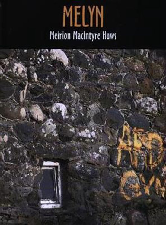Melyn, Meirion MacIntyre Huws | 9780863819179 | Boeken | bol