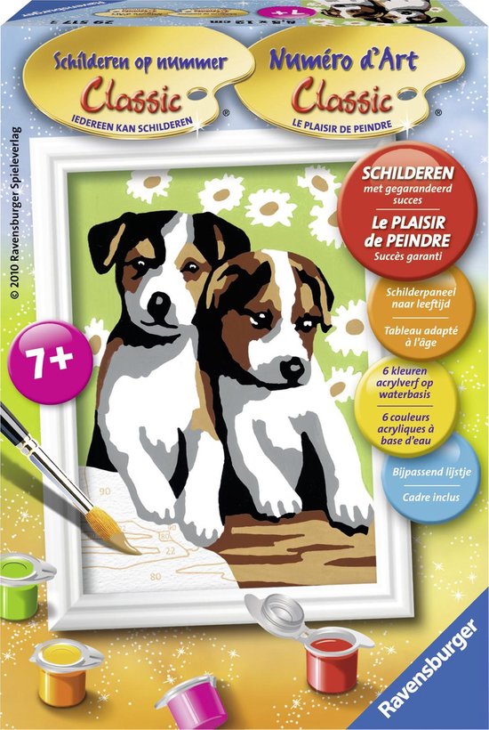 Schilderen Op Nummer - Schattige Puppies | bol.com Schilderen Op Nummer - Schattige Puppies | bol.com