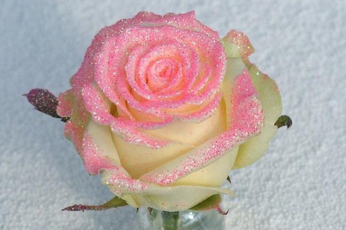 Glitter pink rozen boeket | bol