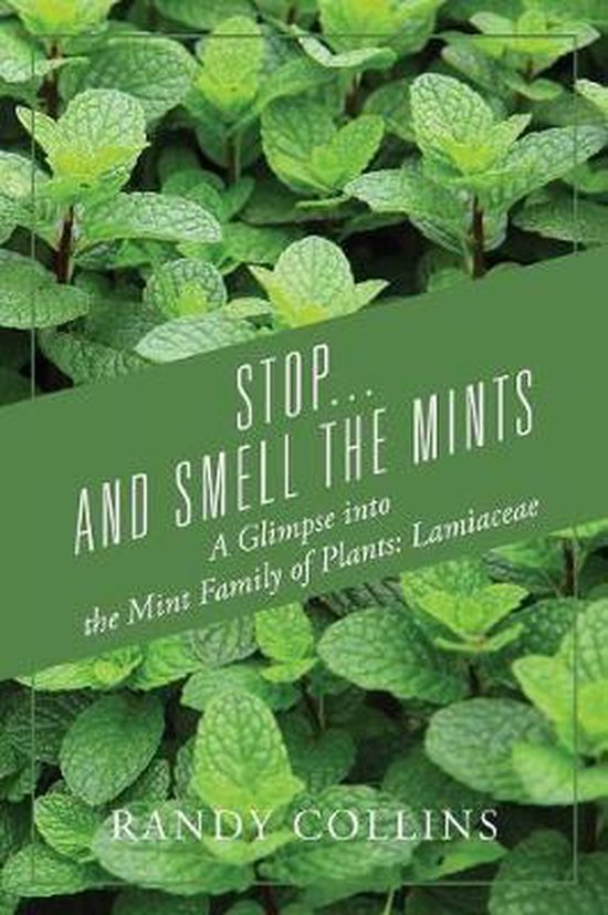 Stop...and Smell the Mints: A Glimpse into the Mint Family of Plants ...